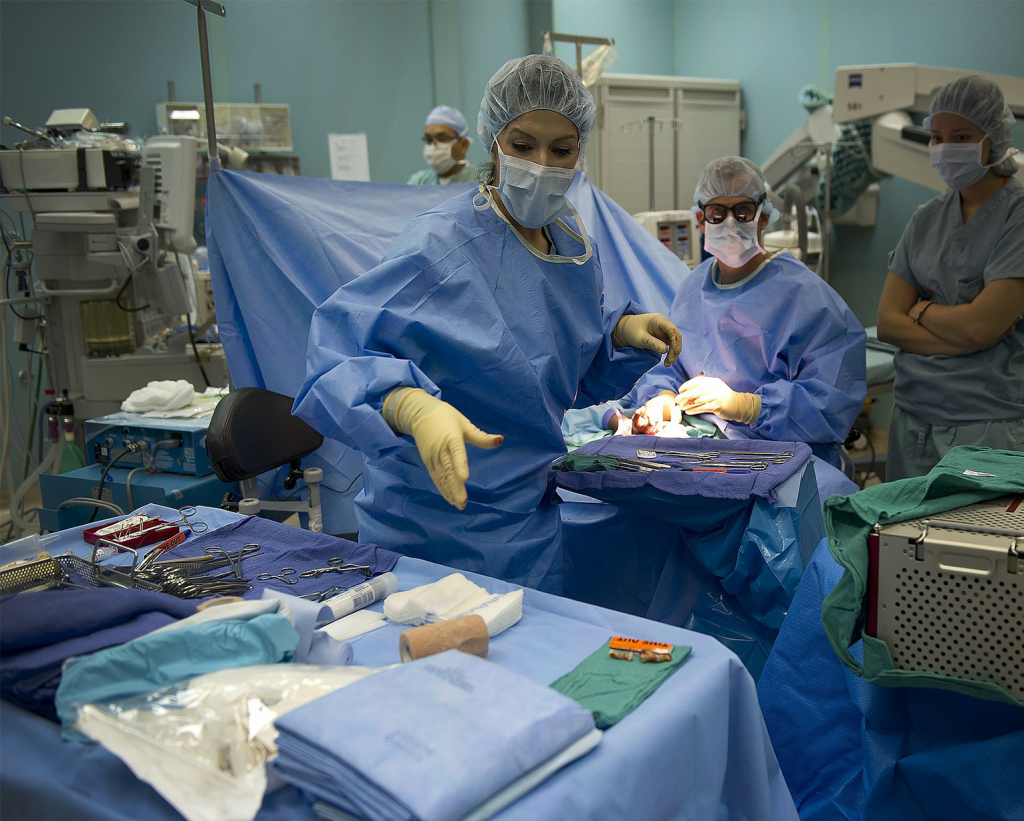 Surgical Theatres and Day Procedure Units - South Eastern Health ...
