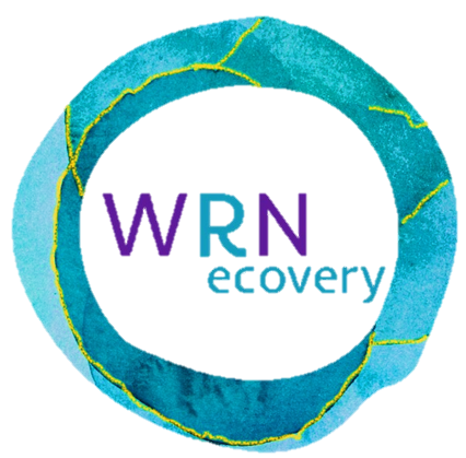 Wellness Recovery Network - South Eastern Health & Social Care Trust