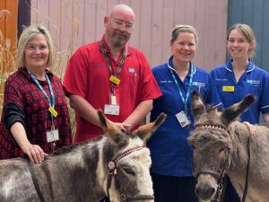 Donkey Therapy Brings Joy to Dementia Patients at Lagan Valley Hospital ...